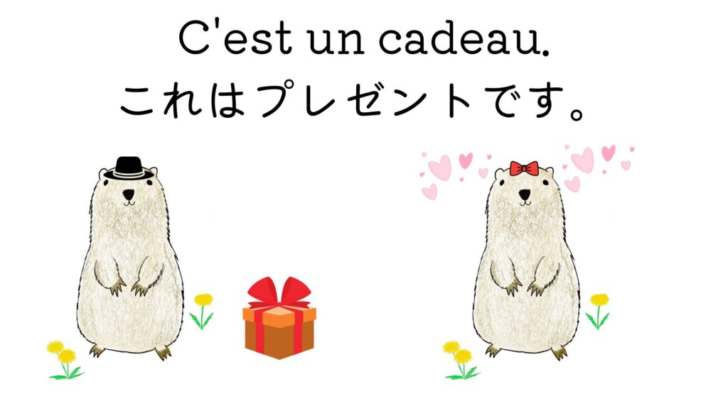 フランス語の指示形容詞 マーモットさんと学ぶフランス語 
